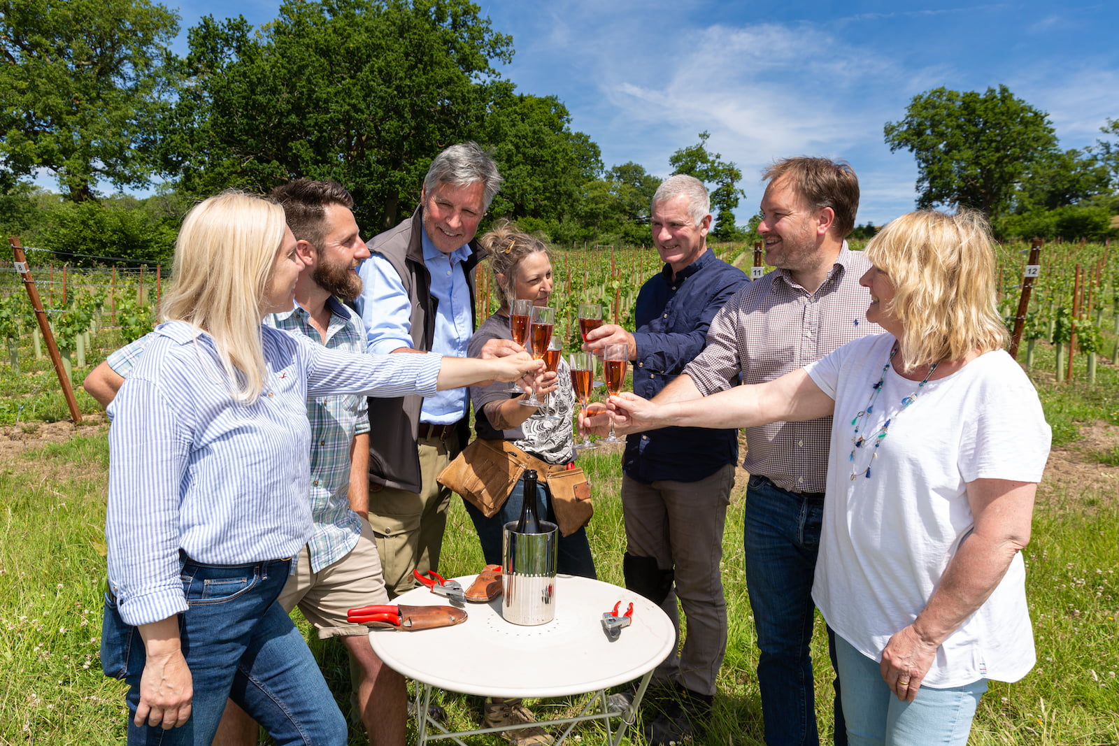 Establishing and managing vineyards