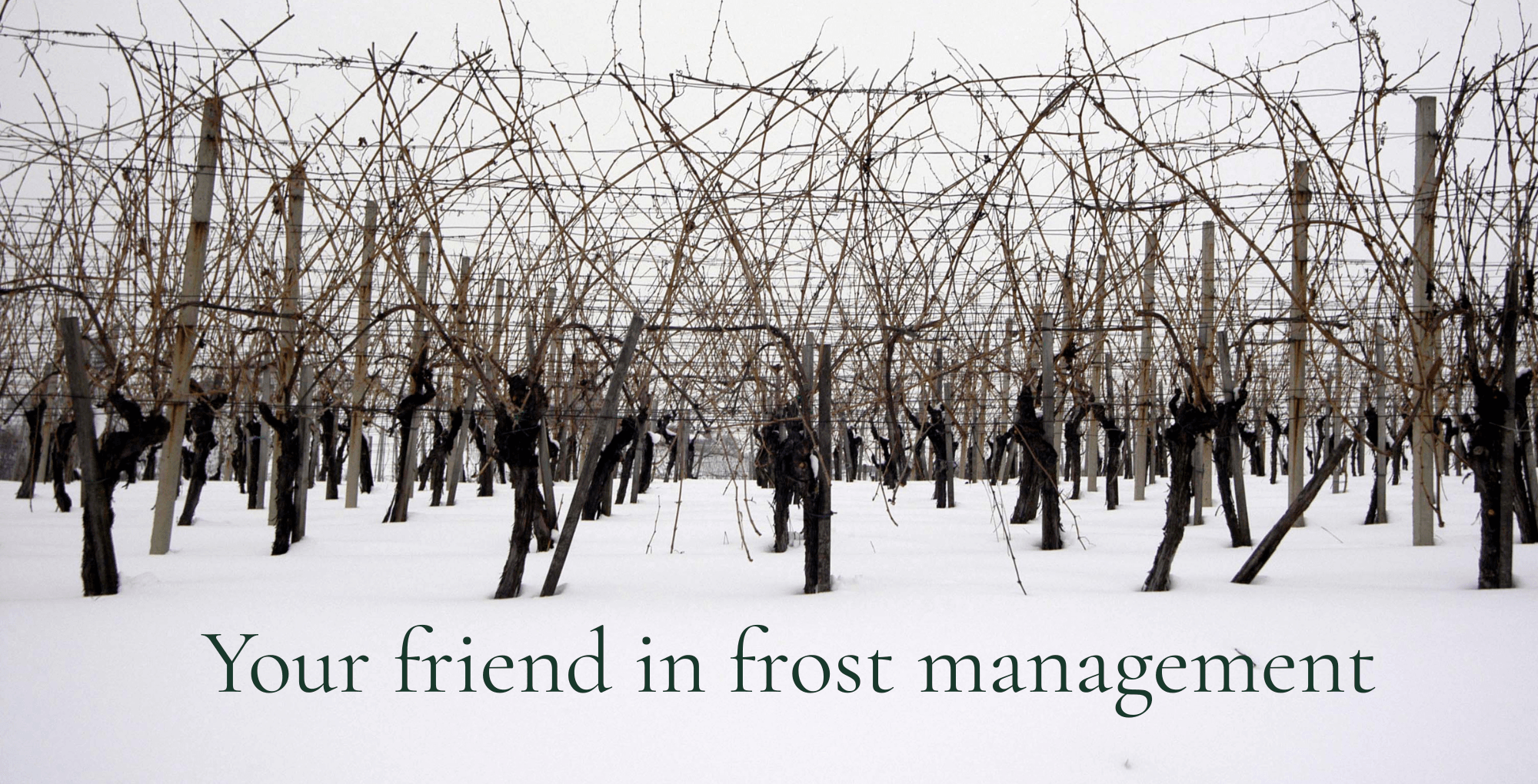 VineBuddy Frost Forecasting - Vinescapes