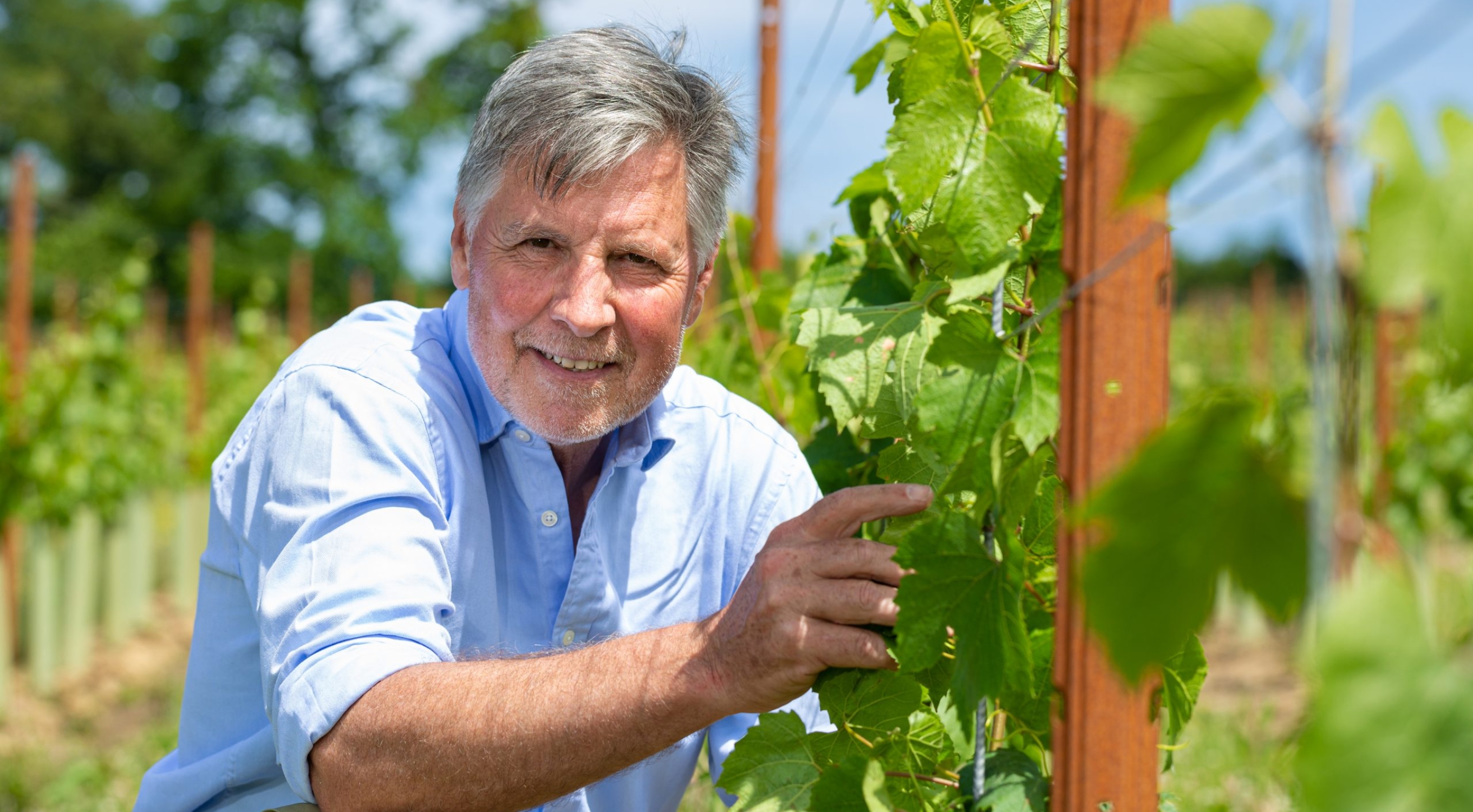 Planning a vineyard? - Vinescapes